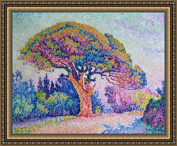 Paul Signac The Pine Tree at Saint Tropez Framed Print for sale ...