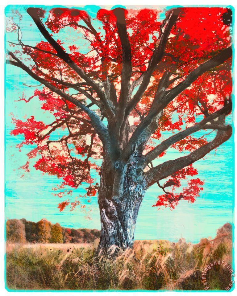 Collection 8 The red tree painting - The red tree print for sale