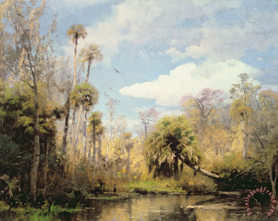 Herman Herzog Florida Palms painting - Florida Palms print for sale