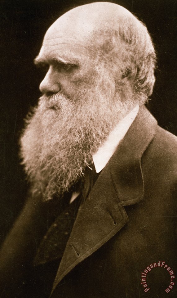 Julia Margaret Cameron Charles Darwin painting - Charles Darwin print ...