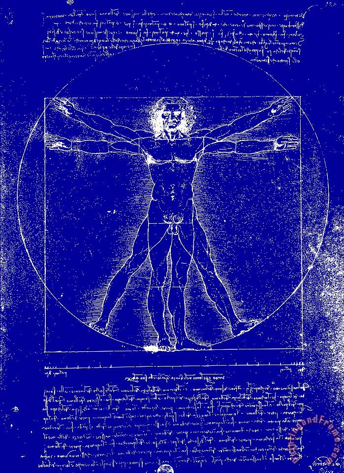 Leonardo da Vinci Vitruvian Blueprint painting - Vitruvian Blueprint ...