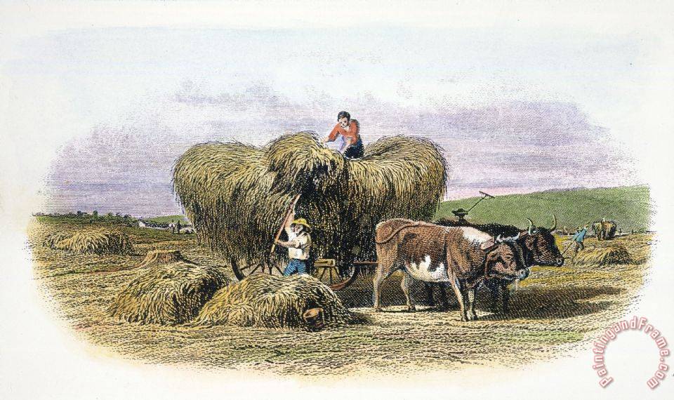 Others 19th CENTURY AMERICAN FARM painting - 19th CENTURY AMERICAN FARM ...
