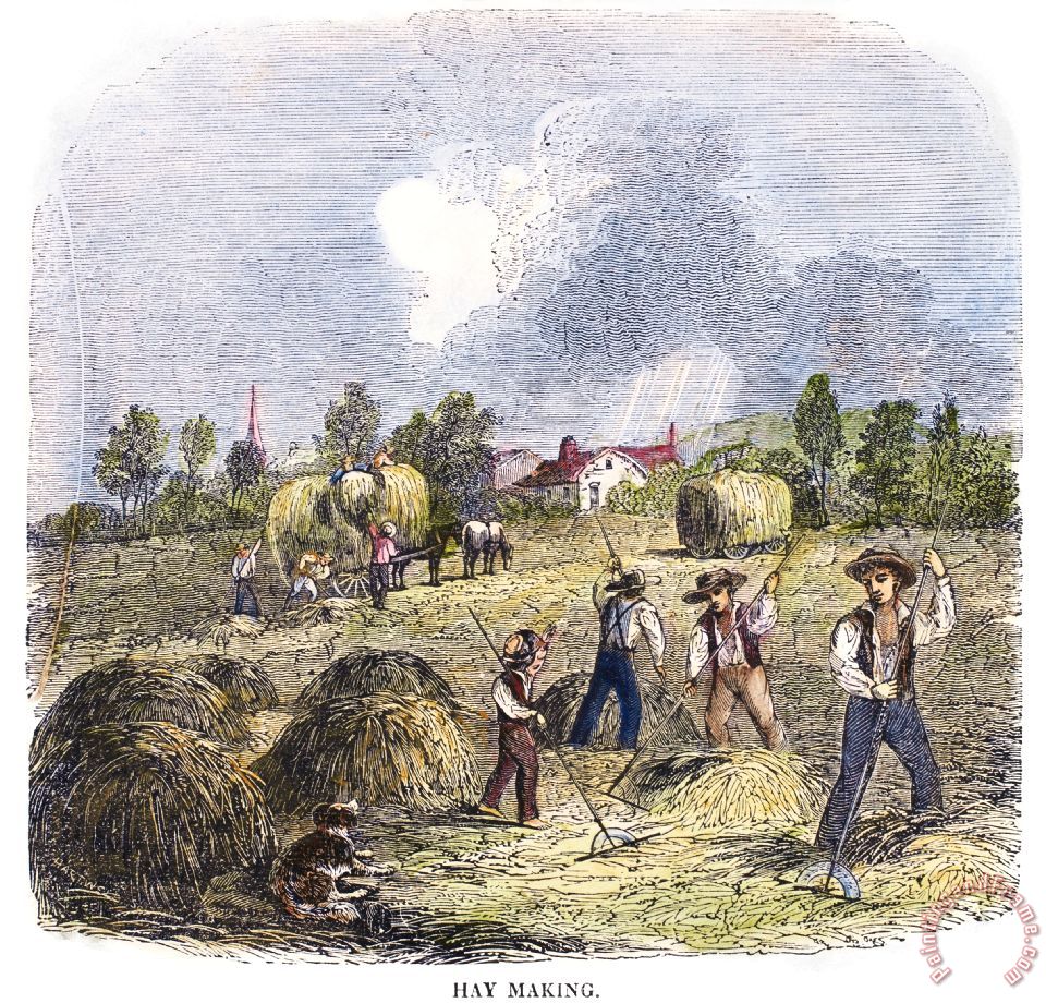 Others MAKING HAY, c1850s painting - MAKING HAY, c1850s print for sale