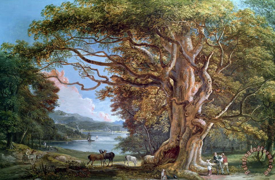 Paul Sandby An Ancient Beech Tree painting - An Ancient Beech Tree ...