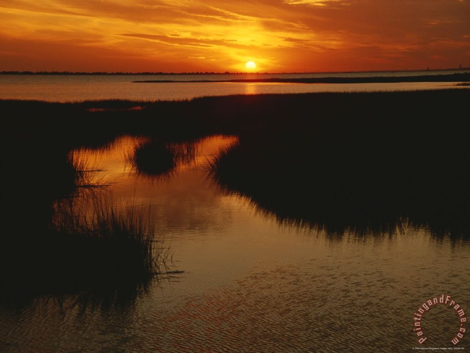 Raymond Gehman Sunset Over a Salt Marsh with Cordgrass painting ...
